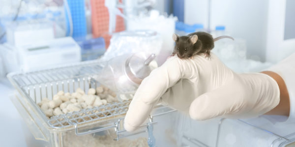 Small Animal Telemetry Mini-Series - Scintica