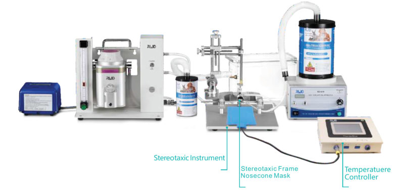 Anesthesia - Scintica
