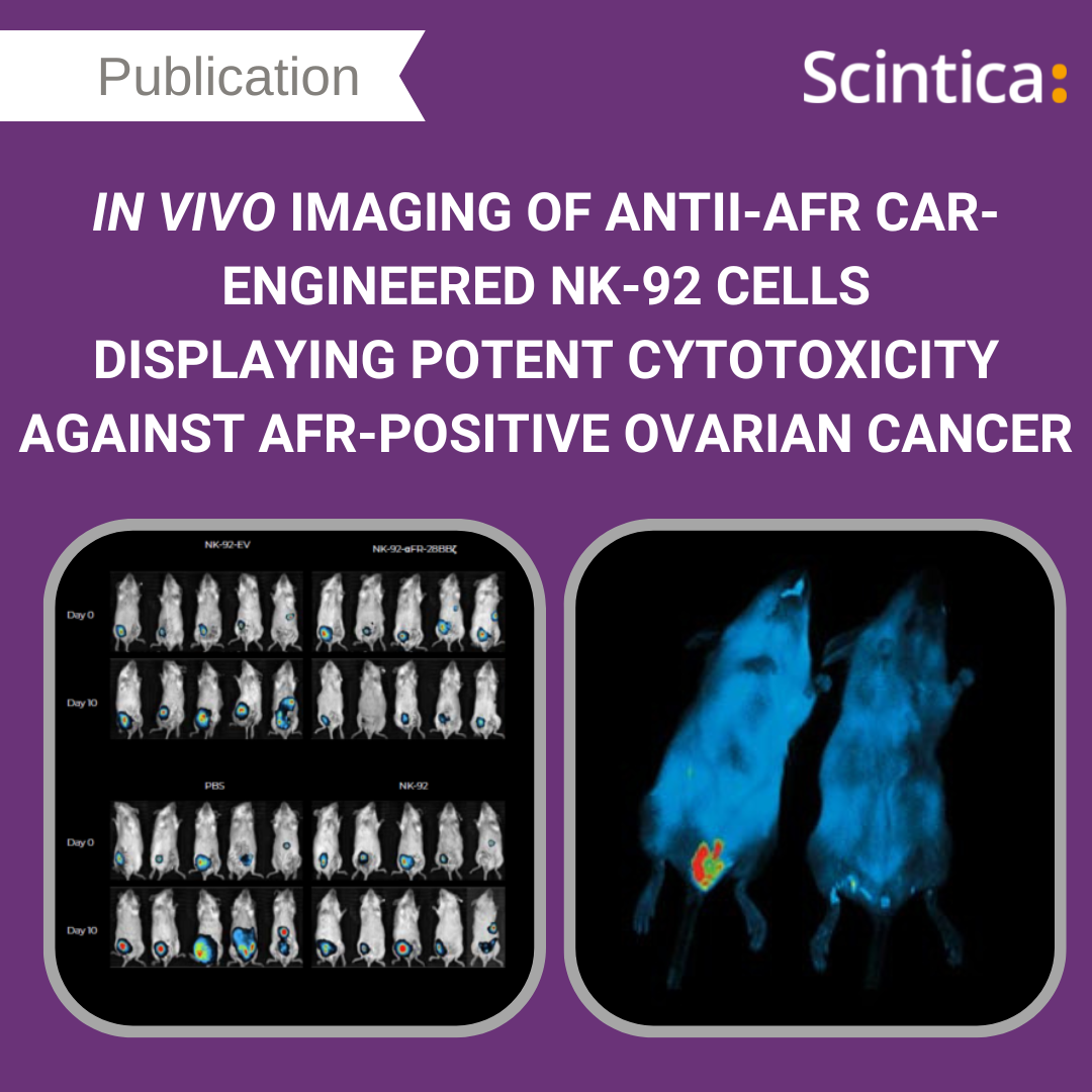 Inivivo Imaging of antii - Scintica